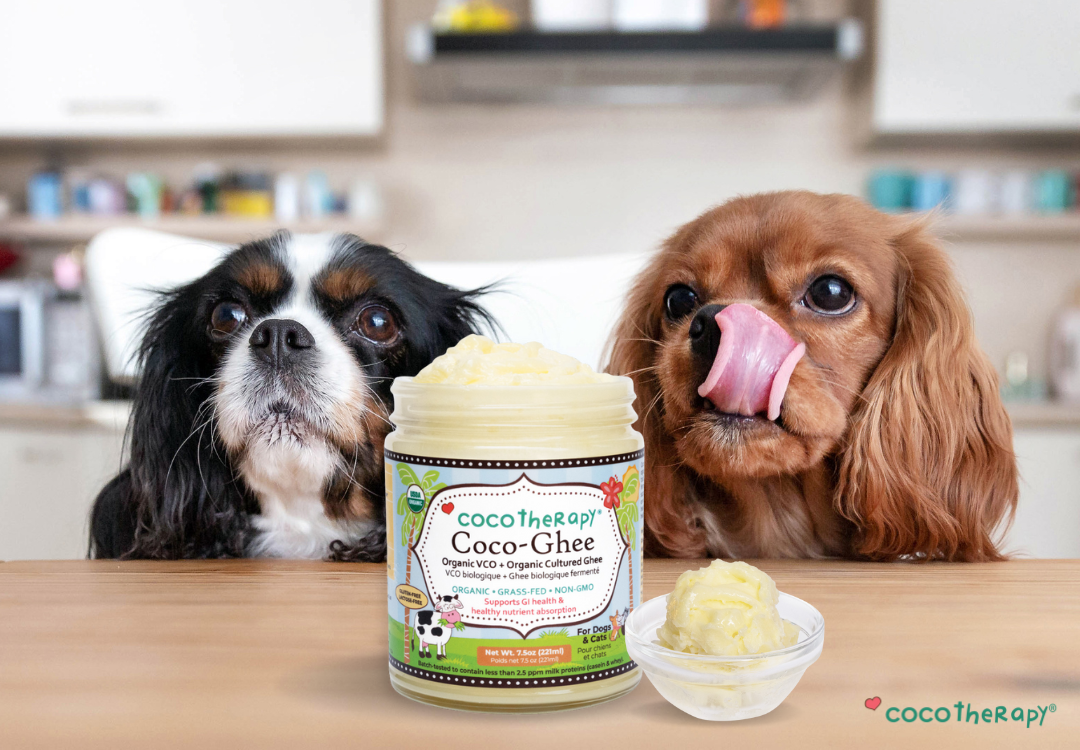 Introducing Coco-Ghee: Discover the Power of Coconut Oil and Ghee for