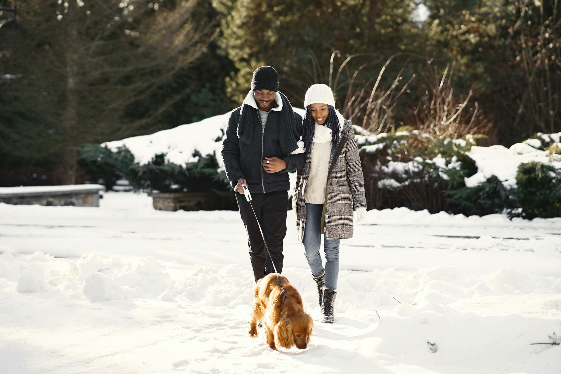 The Ultimate Guide to Safe Winter Walks with Your Dog