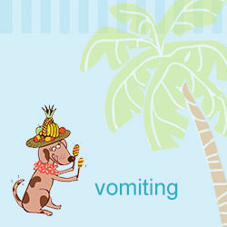 Pet Vomiting | Organic Virgin Coconut Oil For Pets | MCT Oil