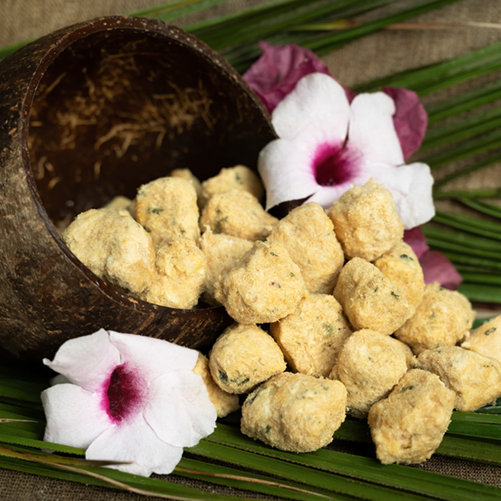 Turkey Lover Combo! Organ Bites Chicken | Coconut Turkey Treats