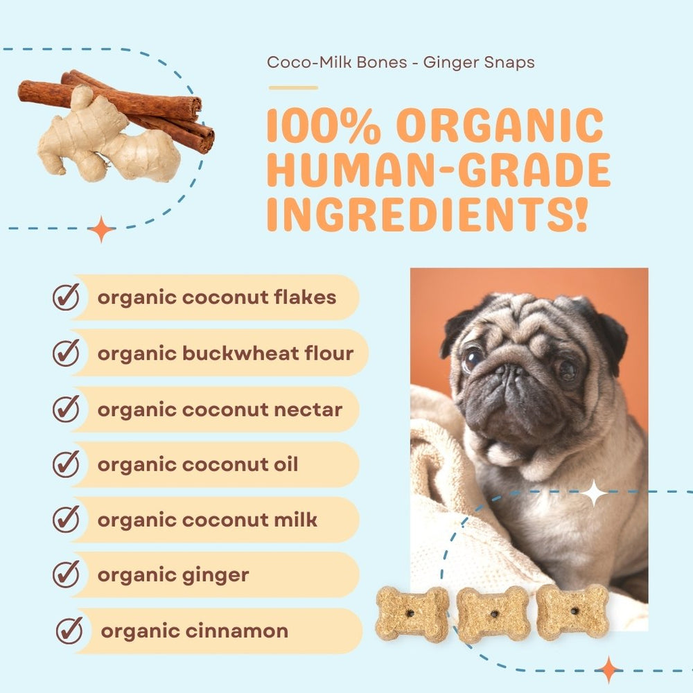 Coco Milk Bones Ginger Snaps | Best Coconut Oil For Dogs