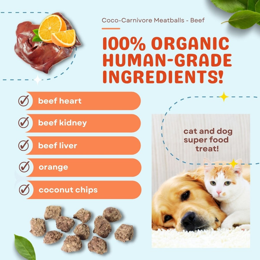 Coco Carnivore Meatballs | Beef Orange | Coconut Chips For Pets